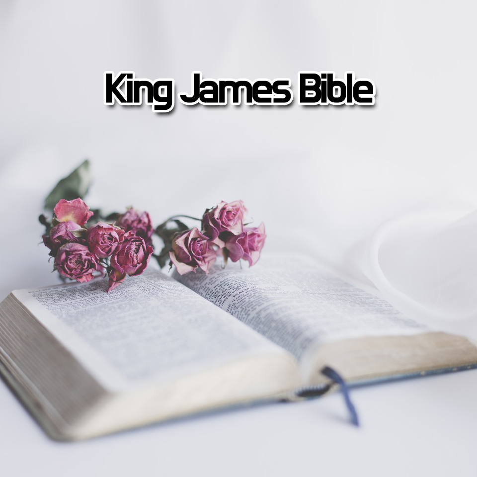 King James Bible